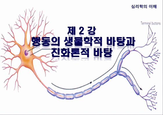 2강_ 행동의 생물학적, 진화론적 바탕(3장)
