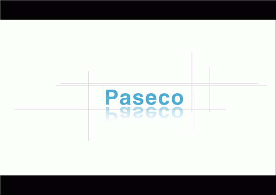파세코 (Paseco) - 자사분석, 시장분석