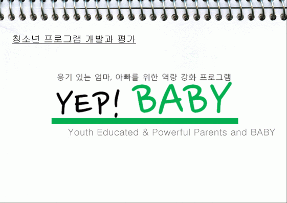 청소년 프로그램 개발과 평가 (Youth Educated & Powerful Parents and BABY)