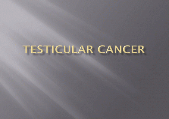 고환암 Testicular cancer