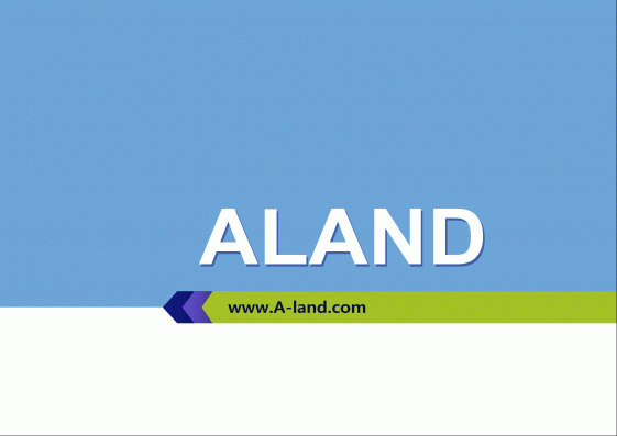 신인디자이너 편집숍 A-LAND 경영전략 분석 (마케팅,3C분석 SWOT,STP,7PS,4P,성공전략,문제점,개선방안,SPA,패션,편집샵,편집)