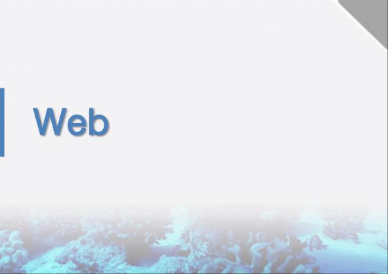 Web(웹)