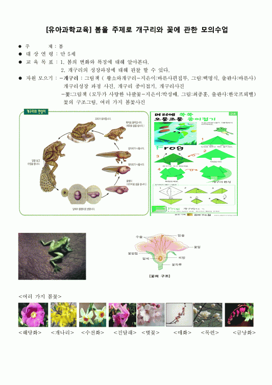 [유아과학교육] 봄을 주제로 개구리와 꽃에 관한 모의수업