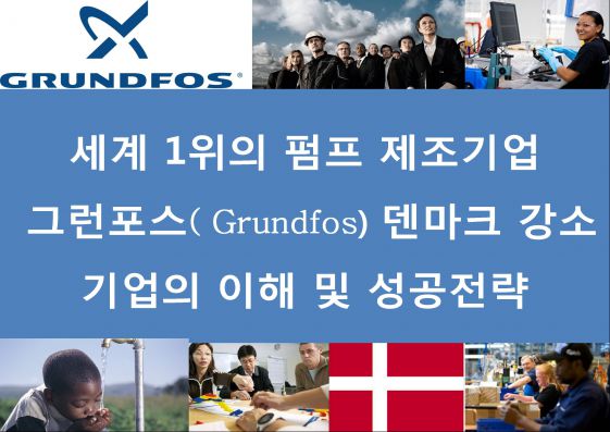 세계 1위의 펌프 제조기업 그런포스( Grundfos) 덴마크 강소기업의 이해 및 성공전략