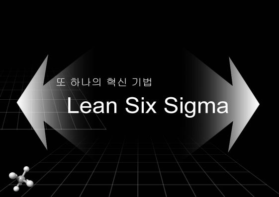 Lean Six Sigma (린 식스 시그마 장점)