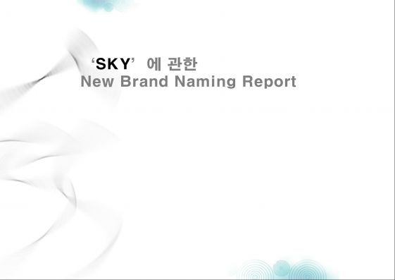 스카이(SKY)에 관한 New Brand Naming Repor(브랜드네임).PPT자료