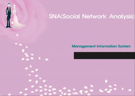 SNA(Social Network Analysis) Management Information System (SNT,SNA,SNA동향,SNS와SNA,Social Network Theory,Social Network Analysis).PPT자료