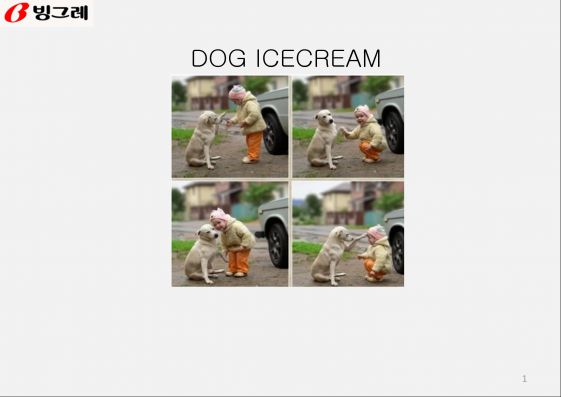 DOG ICECREAM - 강아지_아이스크림,애견산업,애견시장,브랜드마케팅,서비스마케팅,글로벌경영,사례분석,swot,stp,4p.PPT자료