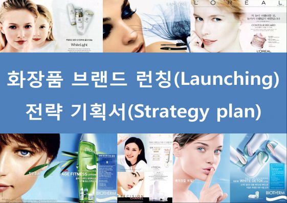 화장품 브랜드 런칭(launching) 전략 기획서(strategy plan)
