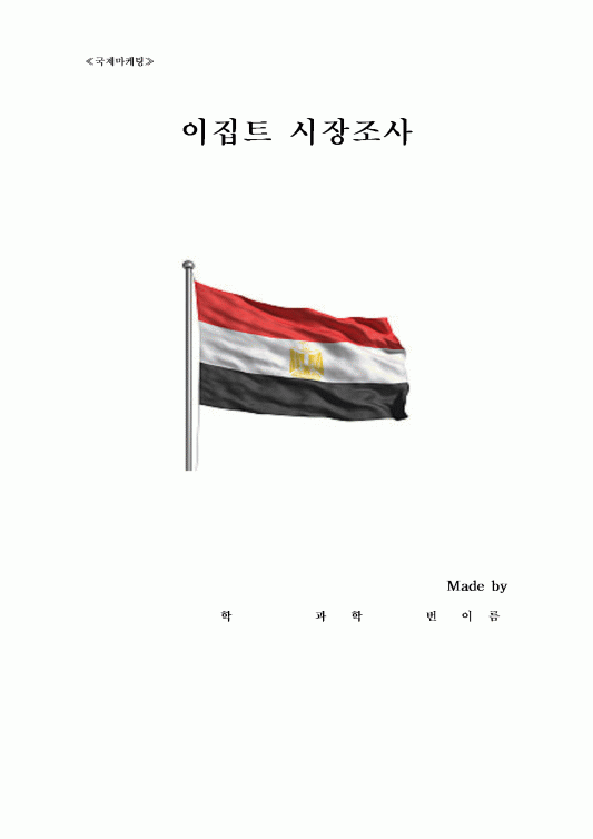 이집트 시장조사 이집트 마케팅 이집트 경제적 사회적 정치적 문화적 무역 수출 법규 이집트 스왓(SWOT)분석