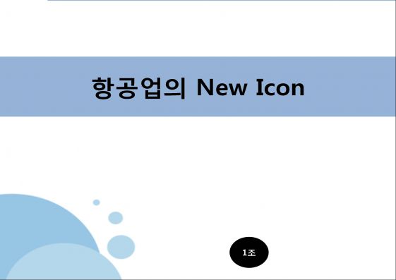 항공업의 뉴아이콘 (New Icon).PPT자료