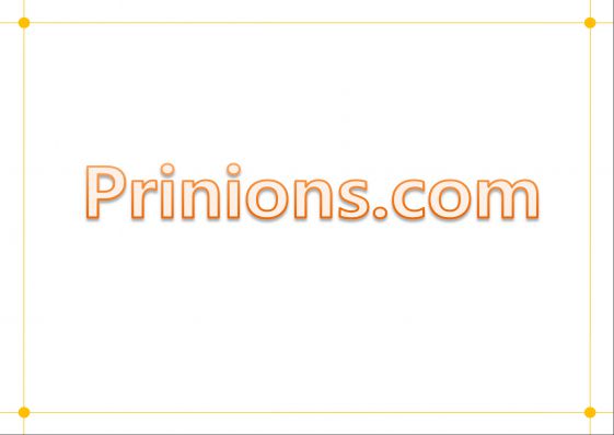 Prinions.com 기업분석