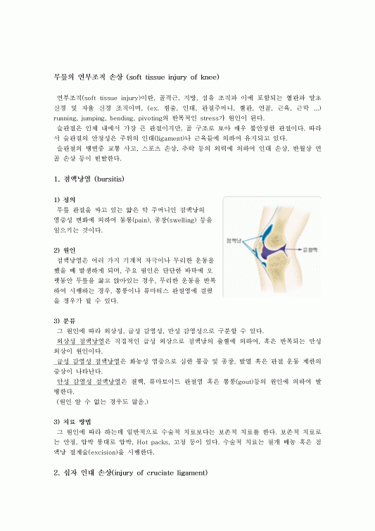[질환별 물리치료] 무릎의 연부조직 손상 (soft tissue injury of knee)