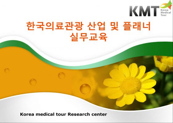 한국의료관광산업의 이해 - 한국의료관광 산업 및 플래너 실무교육.pptx