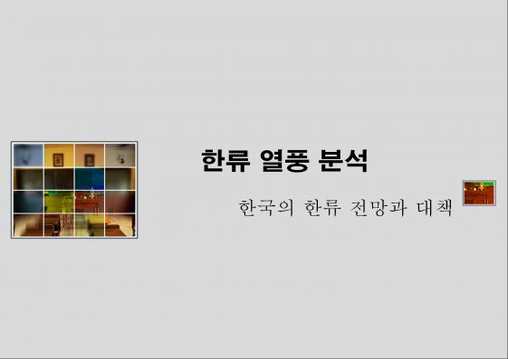 한류(韓流) 열풍 분석 - 한국의 한류 전망과 대책.pptx