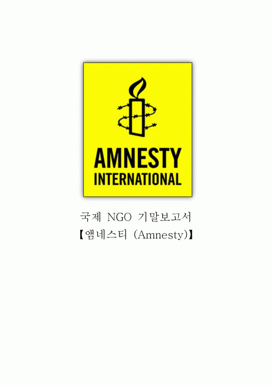 [국제 NGO 분석 - 앰네스티 (Amnesty)] 국제사회에서의 NGO의 역할, 인권과 NGO, 역사, 활동, 활동원칙, 예산, 재정방식, 비판, 가이드라인
