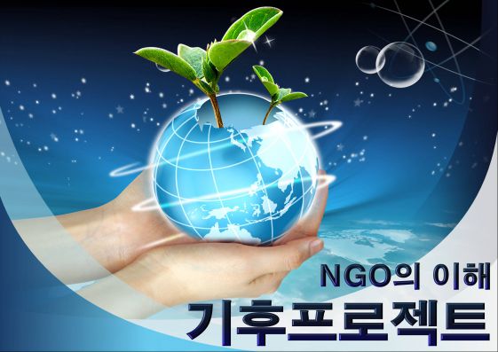 [NGO 분석 - 기후프로젝트] 개념, 역할과 기능, NGO(시민단체) 기후프로젝트 주요사업, NGO(시민단체) 기후프로젝트 업무, NGO단체 기후프로젝트 전망, 결론 등등