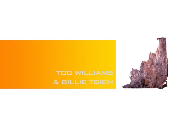 부부 건축가, 토드 윌리암스와 빌리치엔 (TOD WILLIAMS & BILLIE TSIEN).pptx