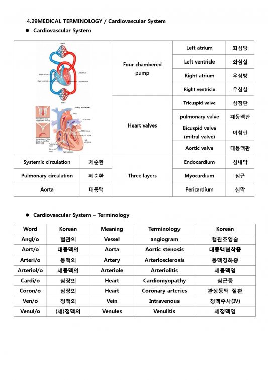 1-1-2 의약학용어(MEDICAL TERMINOLOGY) (Cardiovascular System, Urinary System, Nervous System, Skeletal System, Combining forms, Prefixes and Terminology)