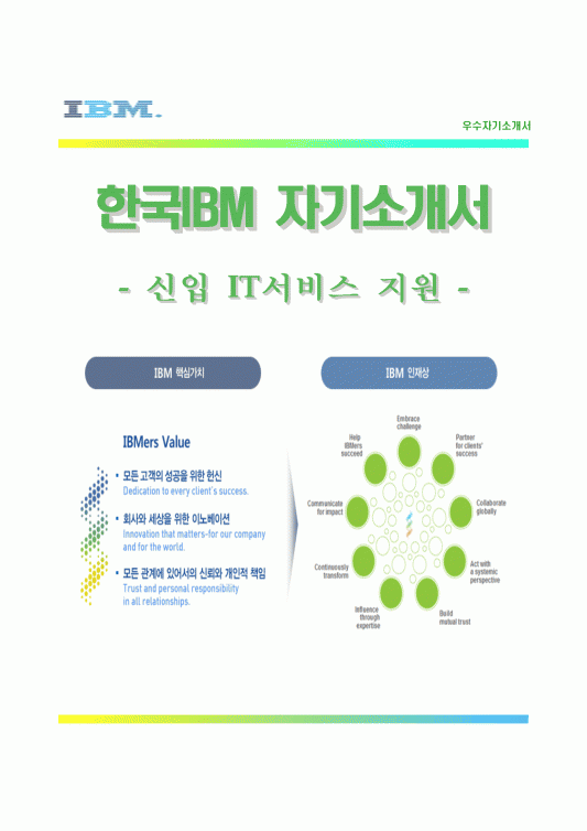 [한국IBM 자기소개서] 한국IBM 합격 자소서와 면접기출문제,한국IBM합격자기소개서,한국IBM 이력서