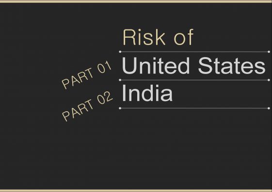 인도와 미국의 정치경제 사회문화 총정리 Risk of United States India.pptx