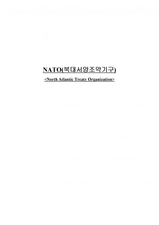NATO(북대서양조약기구) 나토