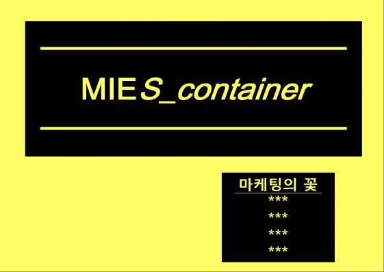 미즈컨테이너 (MIES_container) 마케팅.pptx