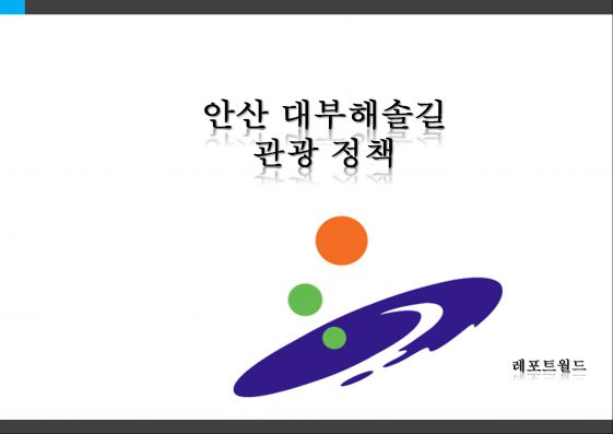 [관광정책론] 안산 대부해솔길.pptx