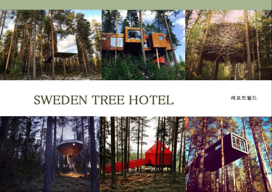 호텔 - 스웨덴 트리 호텔 (sweden tree hotel)