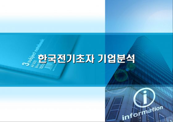 한국전기초자 기업분석