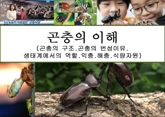 곤충의 이해(곤충의 구조.곤충의 번성이유.생태계에서의 역할.익충.해충.식량자원)