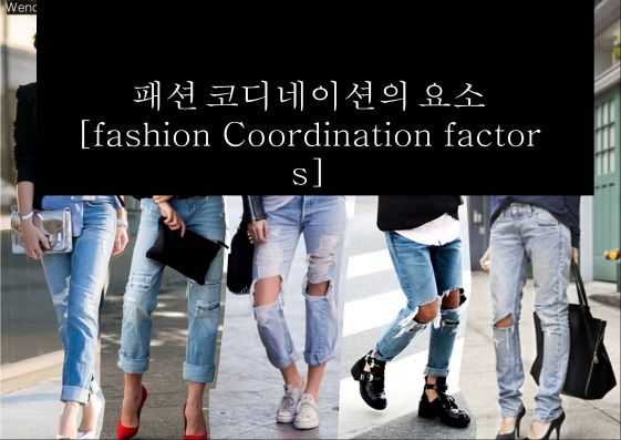 패션 코디네이션의 요소[fashion Coordination factors]  (패션코디네이션 요소)