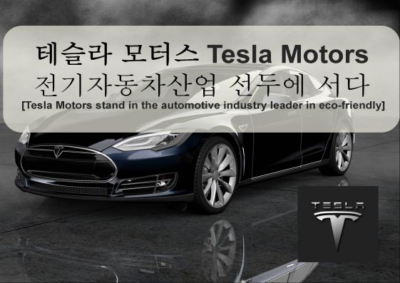 테슬라 모터스 친환경자동차 산업 선두에 서다[Tesla Motors stand in the automotive industry leader in eco-friendly]