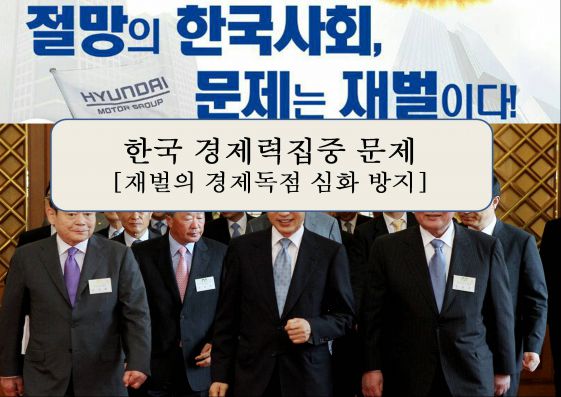 한국 경제력집중 문제 [재벌의 경제독점 심화 방지]