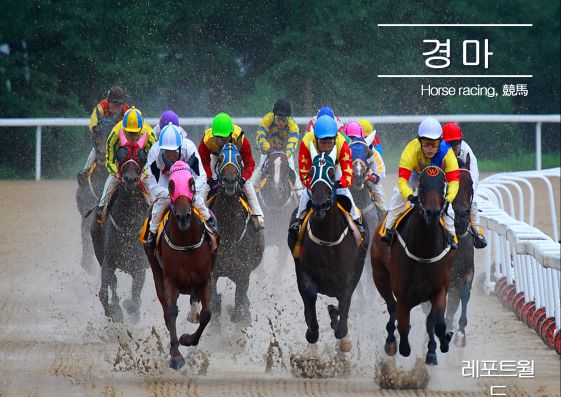 경마 - Horse racing ( 경마소개, 정의, 역사, 배팅방법, 현황, 긍정적 효과, 부정적 효과, 활성화방안 )