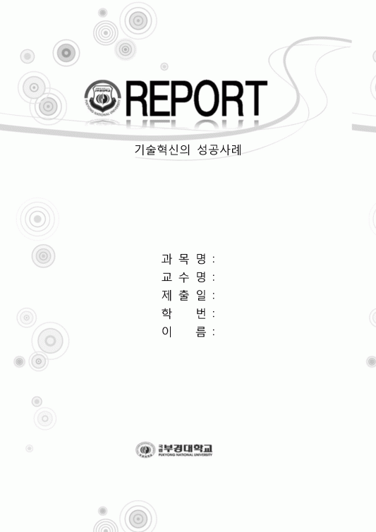 기술혁신의 사례 레포트-한국선재
