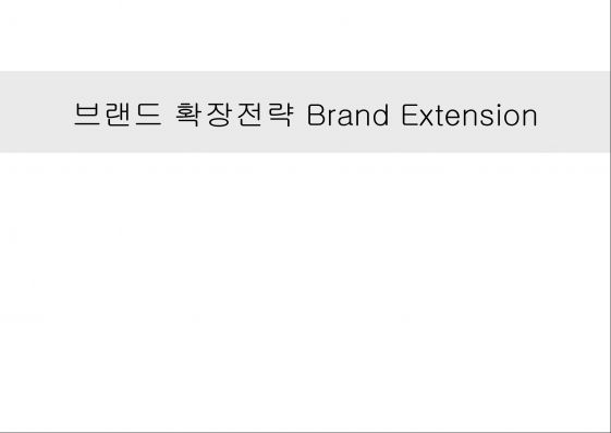 브랜드 확장전략 Brand Extension - 브랜드 확장전략