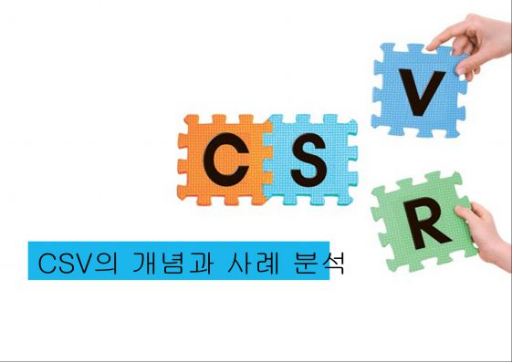 CSV의 개념과 사례 분석