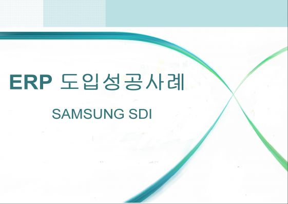 ERP 도입성공,ERP 도입배경,ERP 도입내용,SDI의 혁신,ERP도입,SAMSUNG SDI