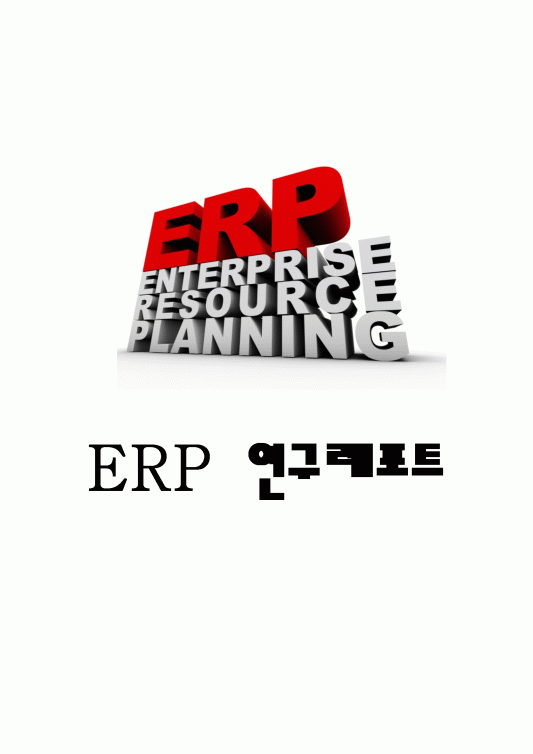 ERP 개념 구축방법과 ERP 도입 성공사례와 미래전망
