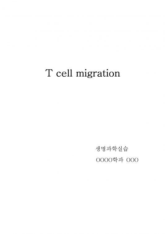 [만점레포트] T cell migration 실험 과정 및 분석 방법