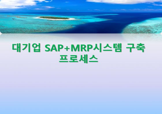 대기업 SAP+MRP시스템 구축 프로세스