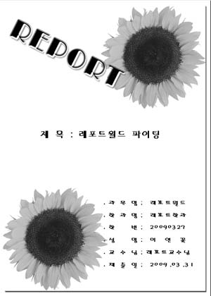 흑백 해바라기 no75