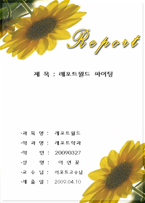 해바라기 세트 no137