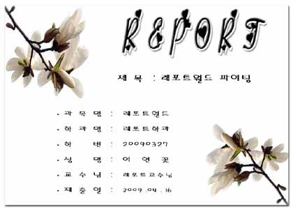 하얀목련..no165