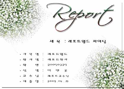 안개..꽃~~no175