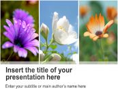 Flowers PPT 템플릿 (파워포인트 배경)