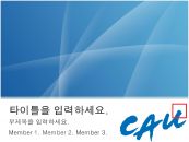 중앙대학교 파워포인트 배경