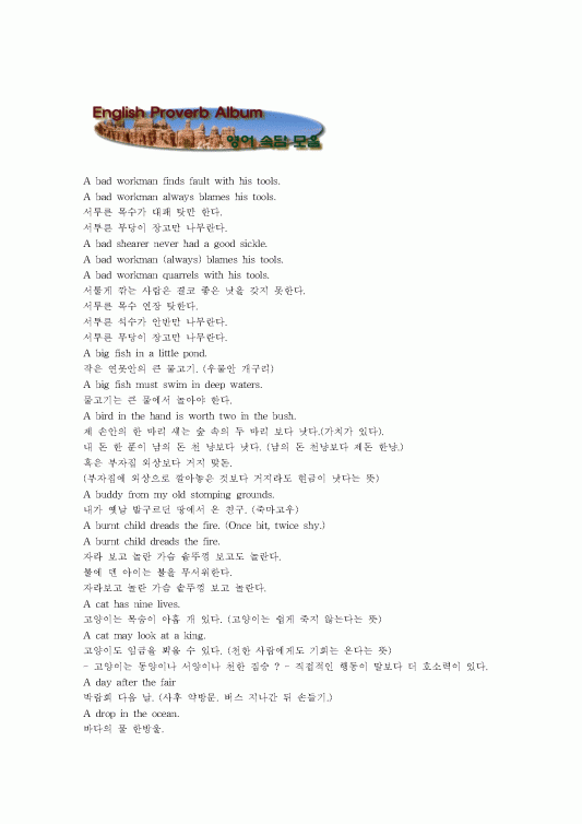 영어 속담 앨범