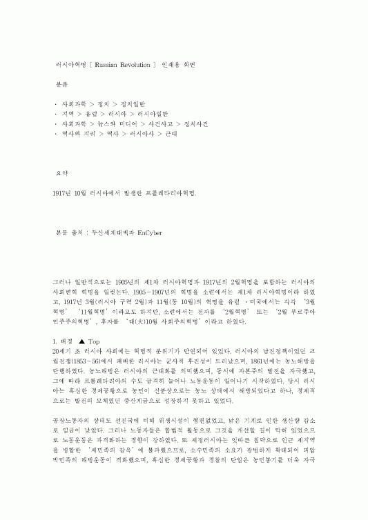 [인문과학] 러시아 혁명 [분석/조사]